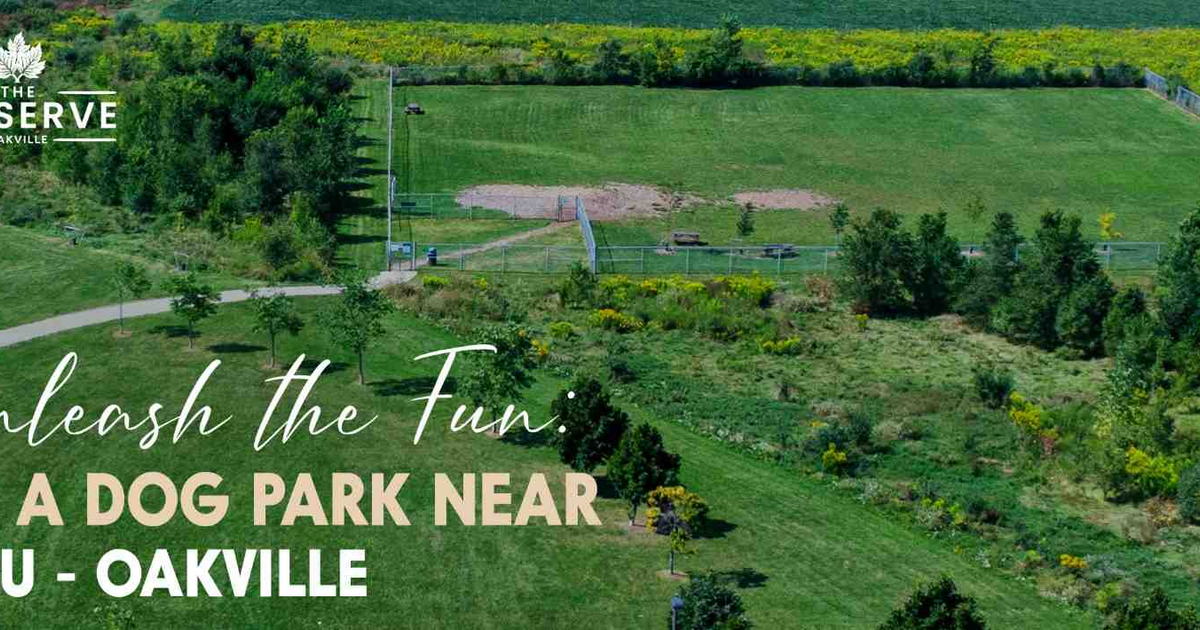 Best Dog Park Guide - Oakville | Preserve Oakville